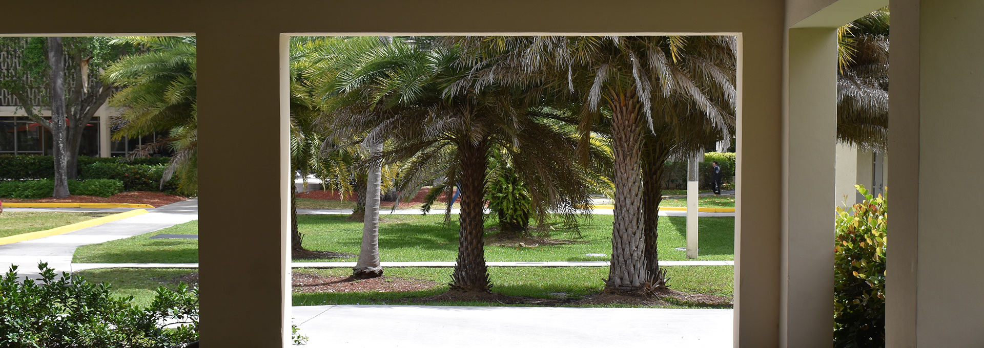 About Barry - Barry University, Miami, FL