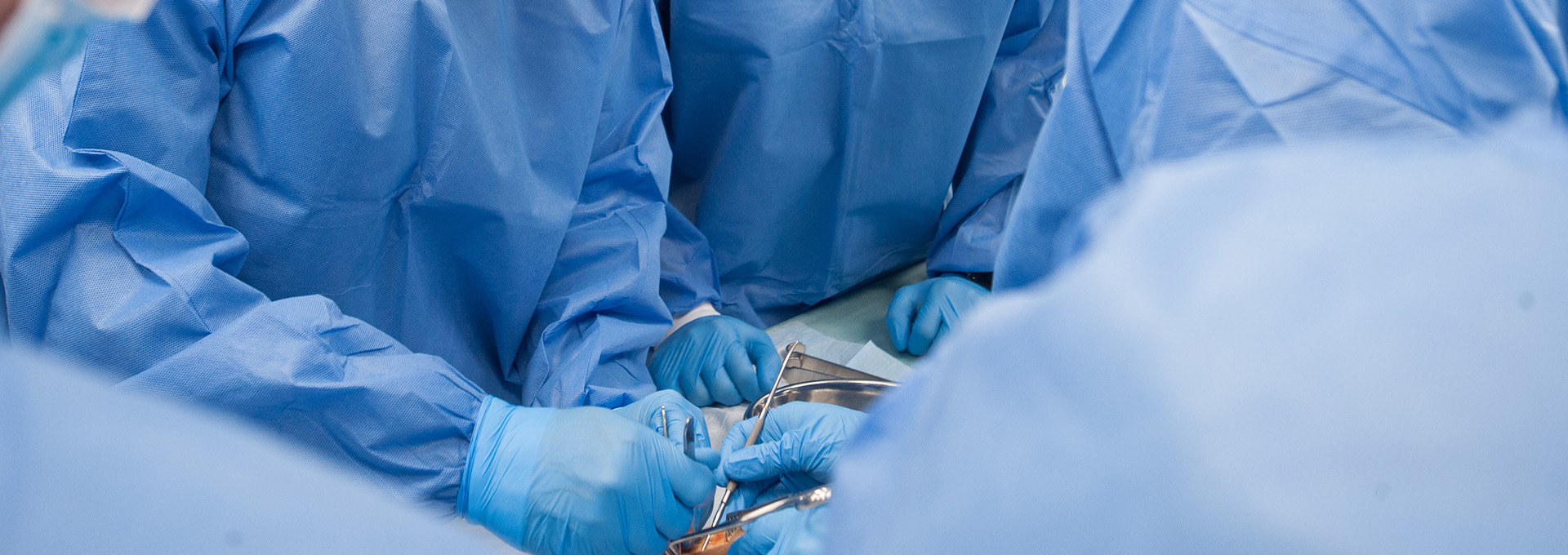 About Barry - Barry University, Miami, FL