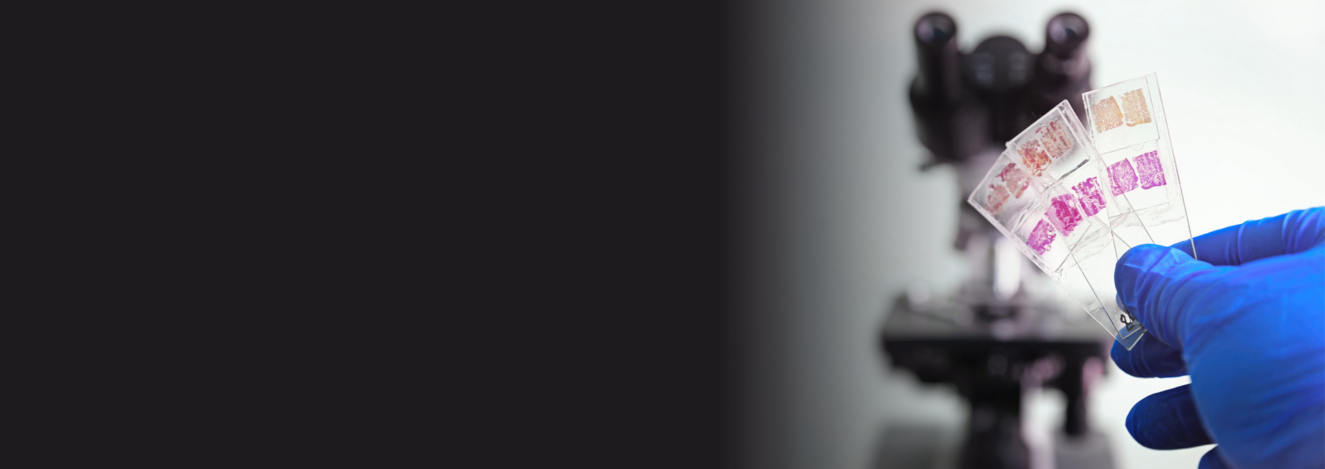 Histotechnology Post-Baccalaureate Certificate - College of Health and ...