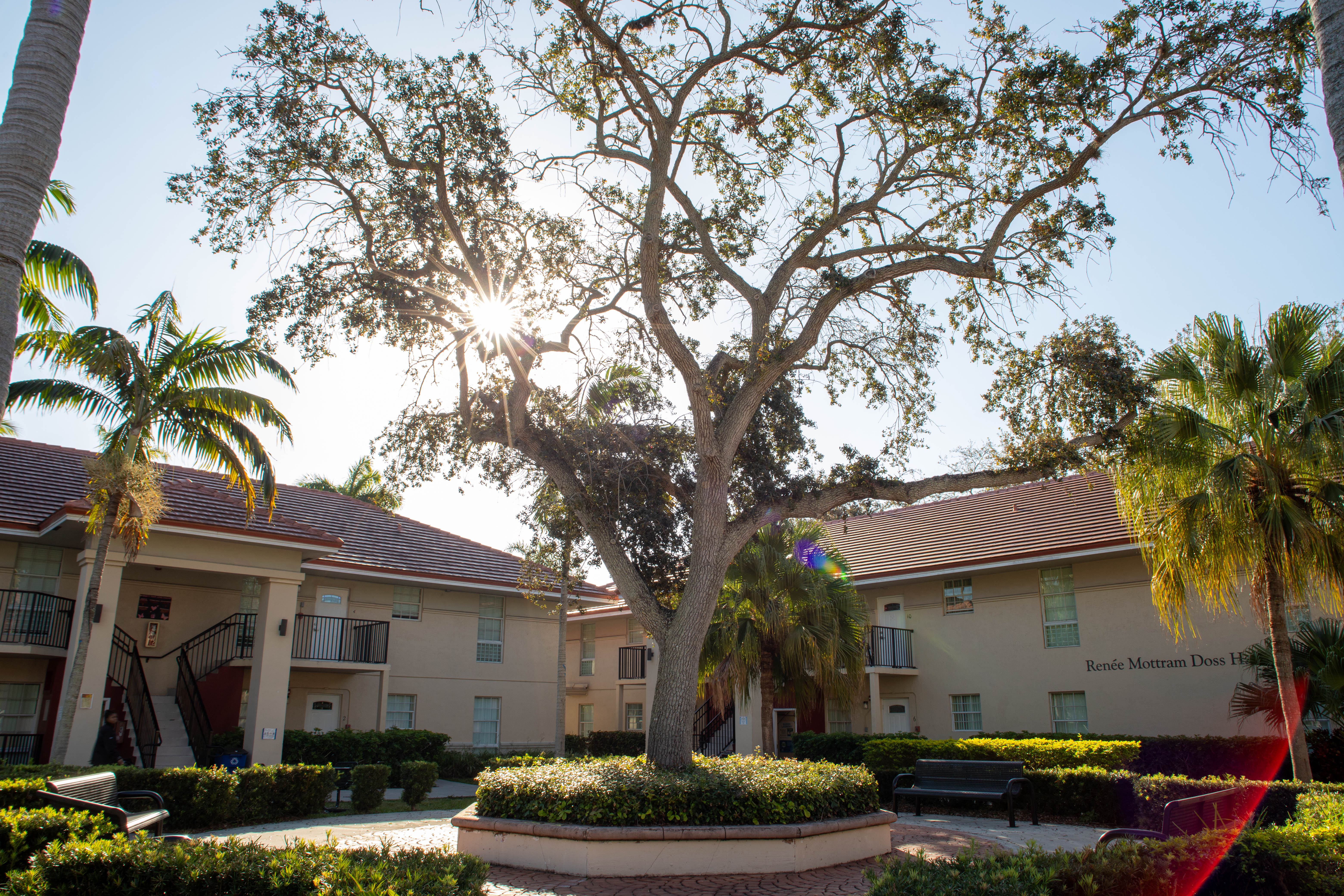 About Barry University | Inclusive Community, Dynamic Programs - Barry ...