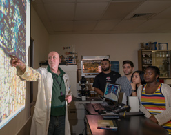 Biology (BS) - College of Arts and Sciences - Barry University, Miami, FL