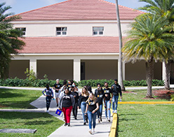 Master of Business Administration, MBA - Barry University, Miami, FL