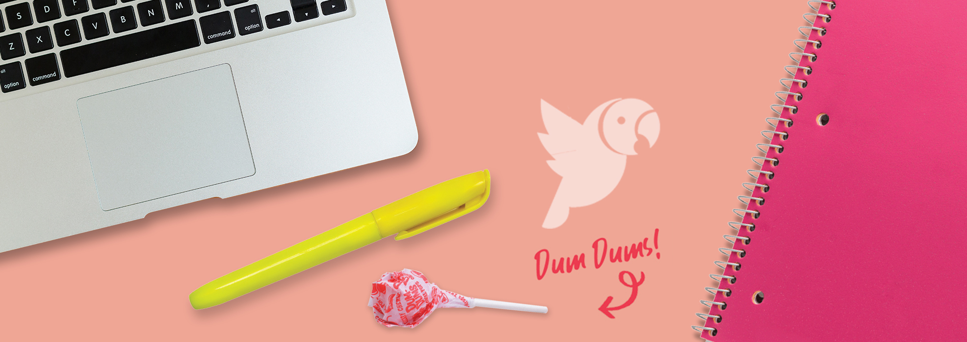 What's in your Bag? - Barry Magazine - Barry University, Miami, FL