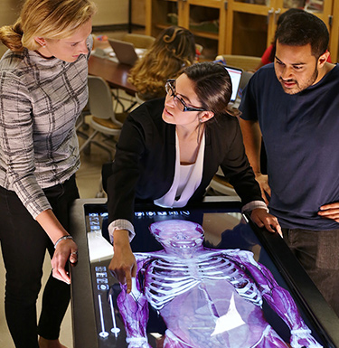 About Barry - Barry University, Miami, FL