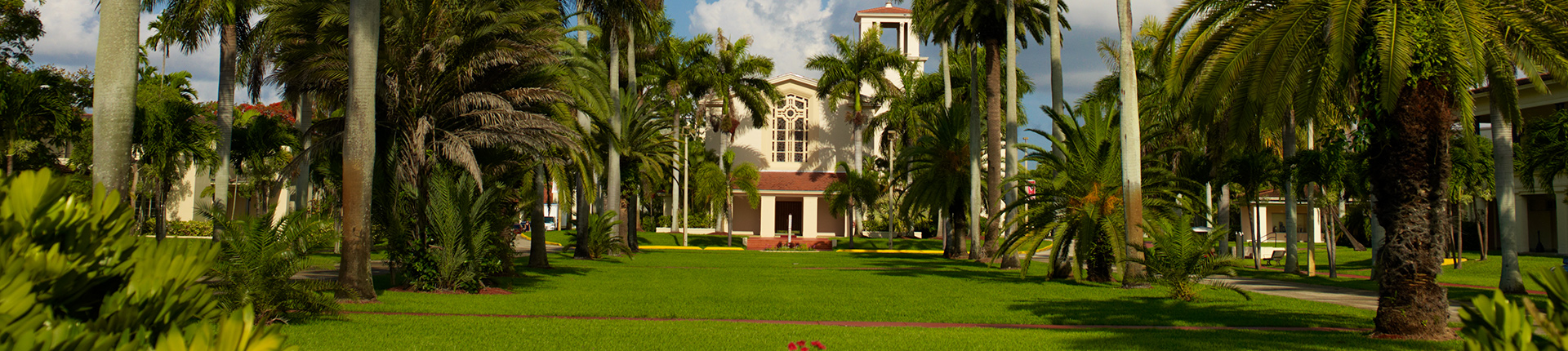 Apply Now - Undergraduate Admissions - Barry University, Miami, FL